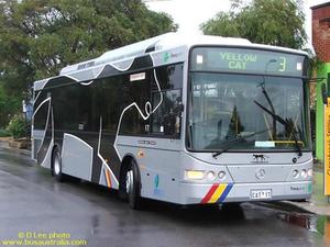 zuta-macka-pert / Images / Media - Aerogaga